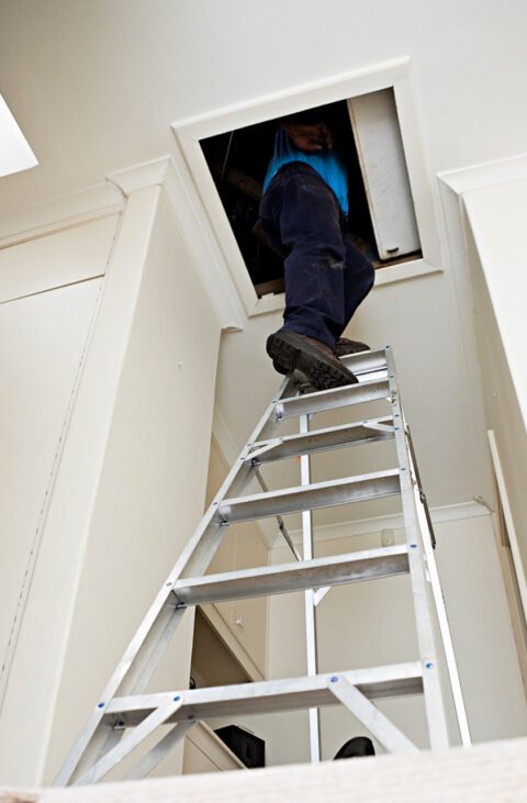 Pest Control New Hampshire | Cornerstone Pest Control