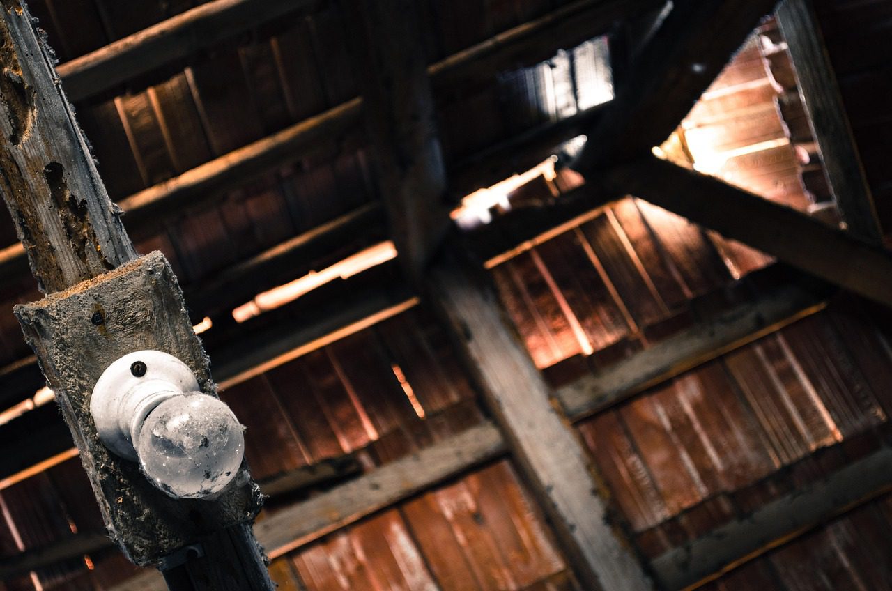 Pest-Proofing Your Attic – Keeping Critters Out During Winter ...